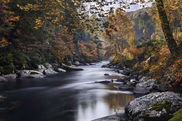 When is the best time to see fall foliage in Blue Ridge, GA? - I Heart BR