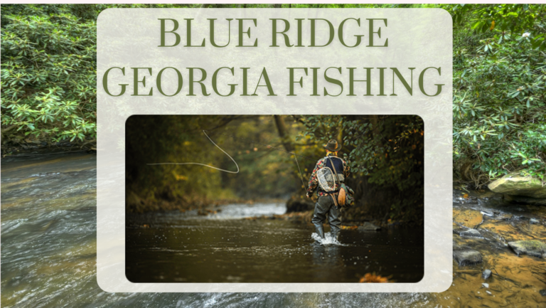 Blue Ridge Georgia Fishing - I Heart BR
