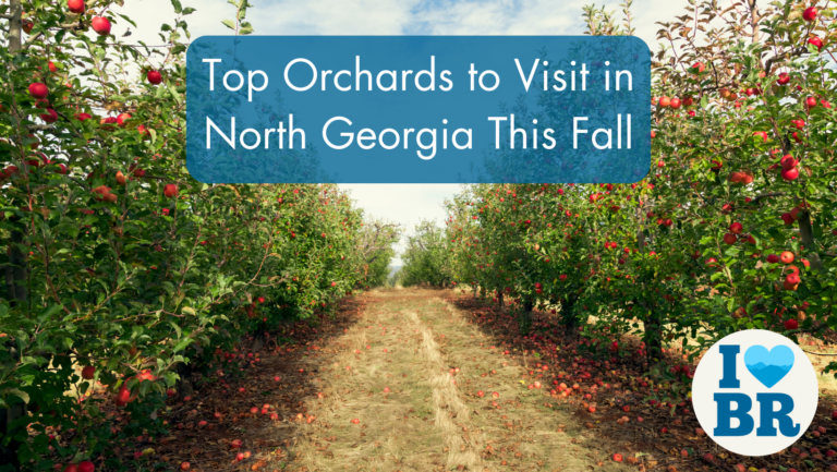 Top Orchards to Visit in North Georgia This Fall - I Heart BR